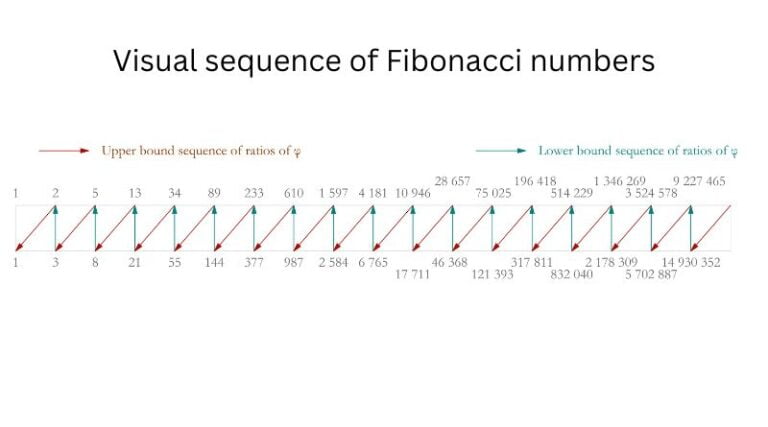 The Mysteries of the Fibonacci Sequence - The Infosiast